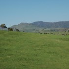 ナイタイ高原牧場｜日本一広い公共牧場。頂上付近にはレストハウスもあります。｜かみしほろ観光情報